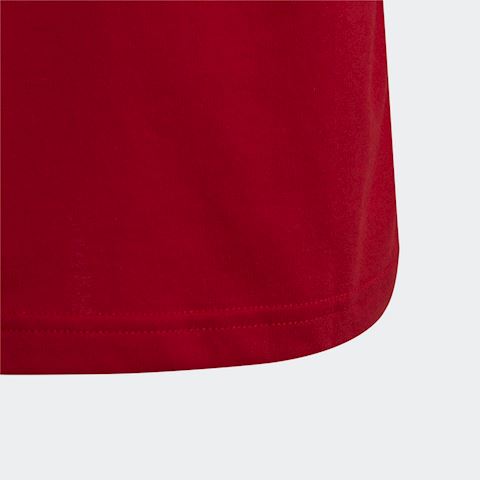 adidas Adicolor Trefoil T-Shirt | IC9117 | FOOTY.COM